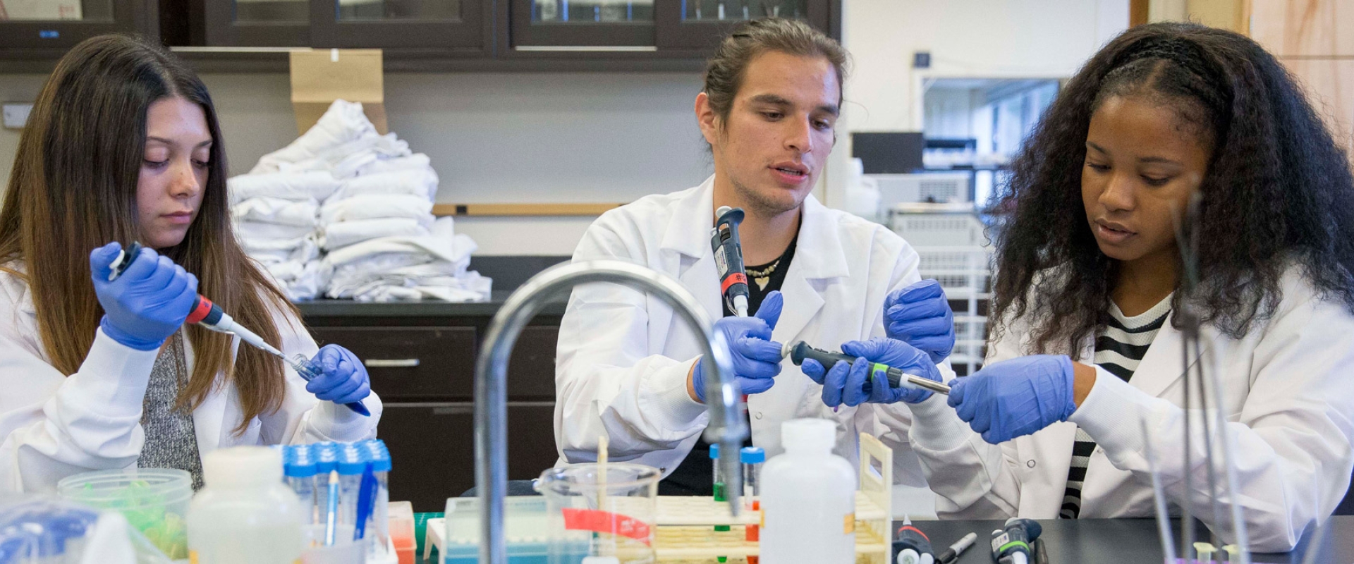 Certificates and Minors | Department of Biology